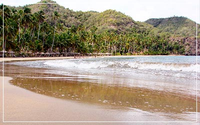Playa Chaguarama de Loero | Península de Paria