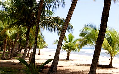 Playa Chaguarama de Loero | Península de Paria